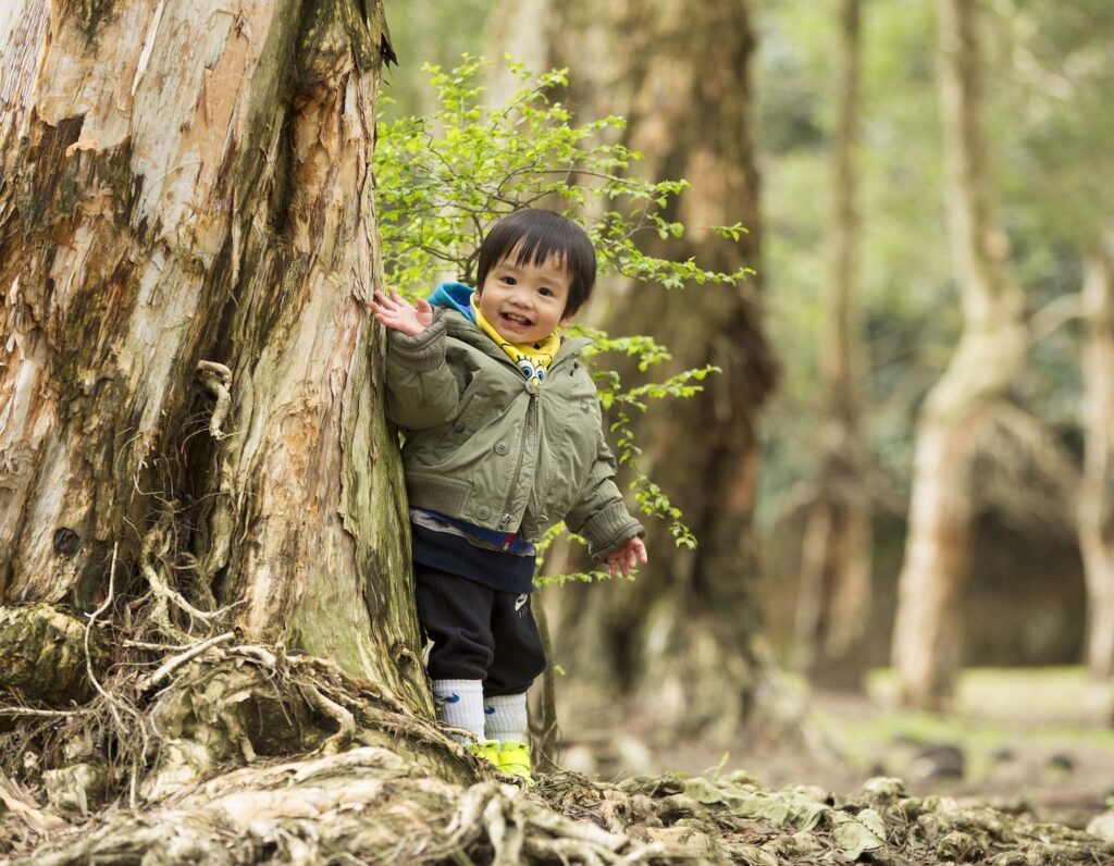 Chung Yeung Festival 2025: What Is The Double-Ninth Holiday?